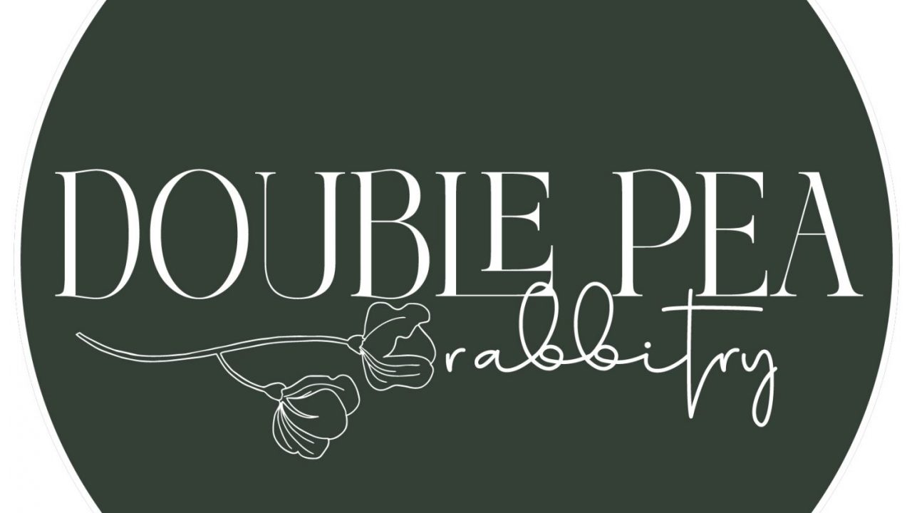 Holland Lop Bunnies for Sale | Denver, CO | Rabbitry